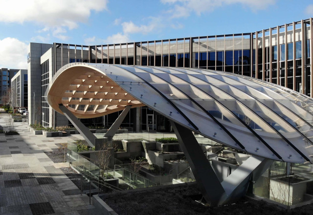 Freeform glued laminated timber